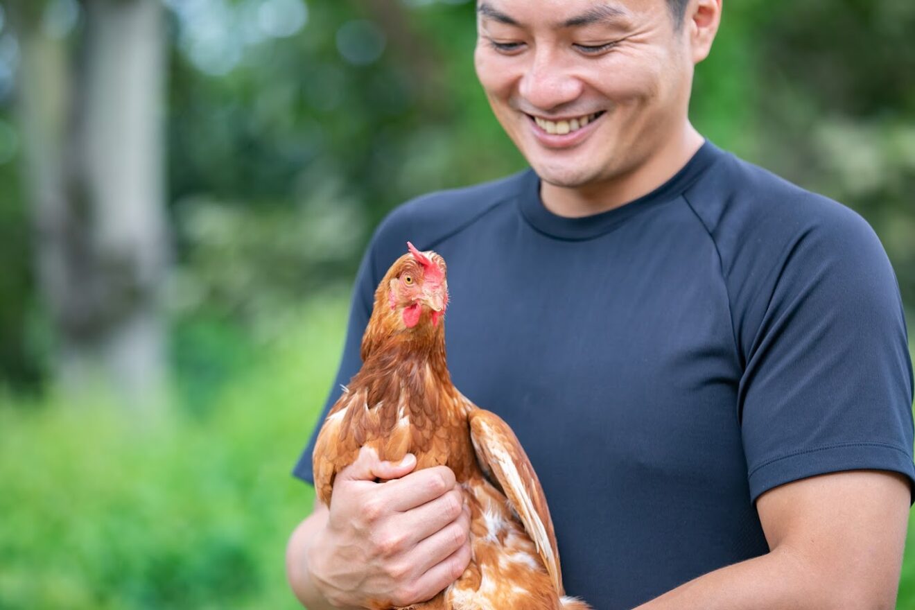 ひらがい卵[定期宅配] | 坂ノ途中